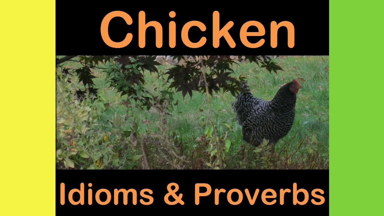 Chicken Idioms — English Language Club